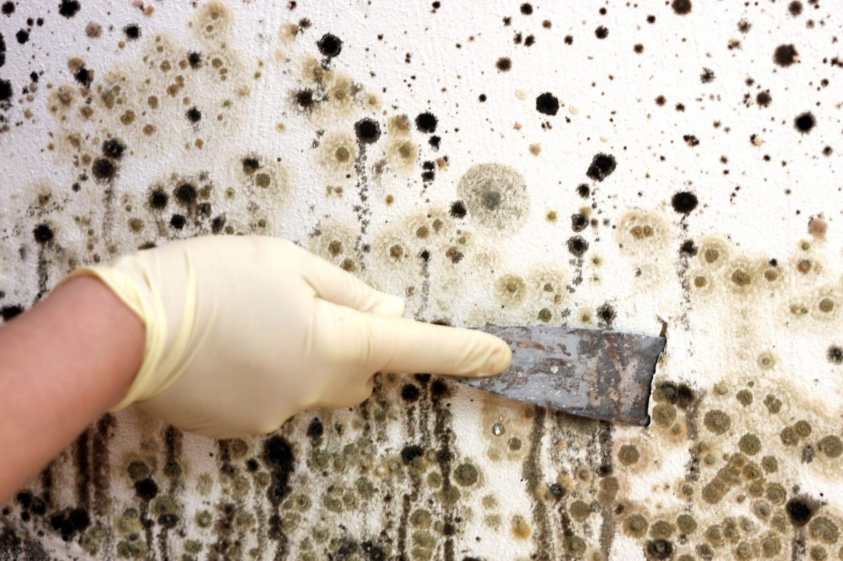 Fire & Water Damage Restoration Los Angeles, CA | Mold Remediation